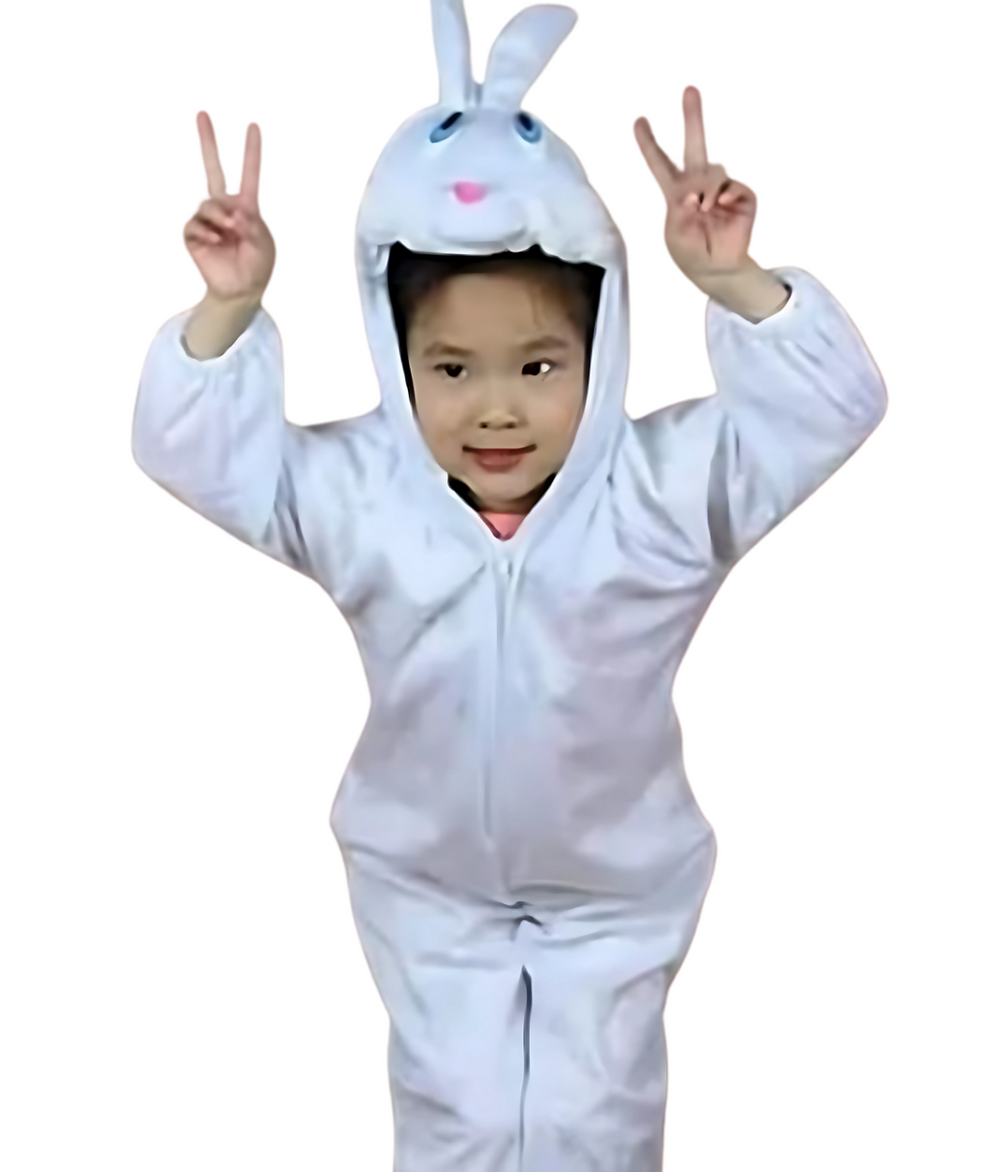 Rabbit Kids Animal costumes Boys Girls Fancy Dress outfit Cosplay ...